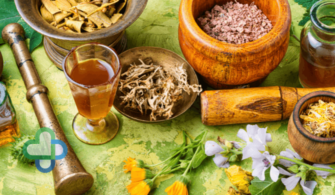 7 Powerful Herbal Remedies For Erectile Dysfunction A 2023 Guide