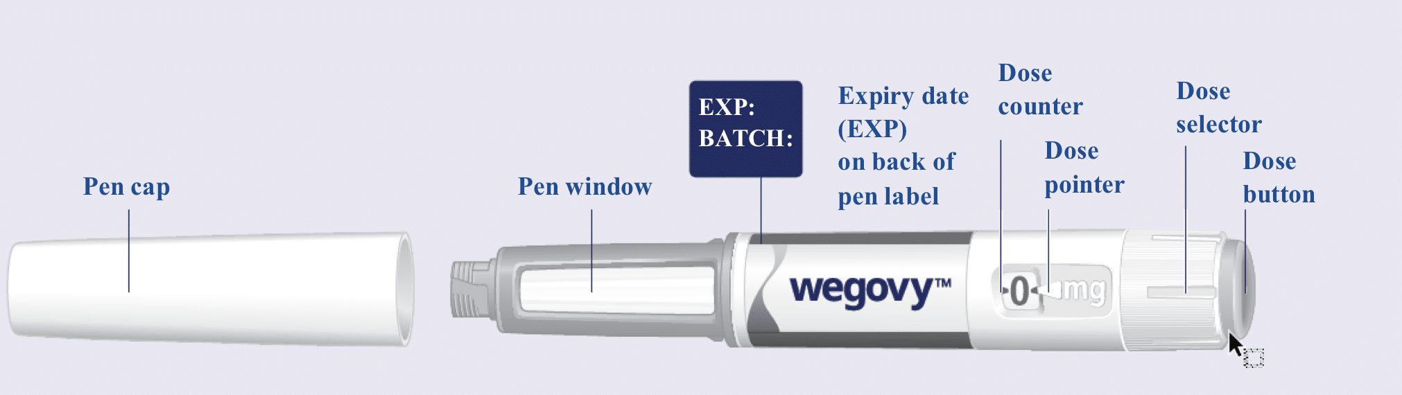 Buy Wegovy Online From £21 a Week | The Family Chemist