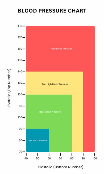 Know Your Numbers Week 2025! - The Family Chemist - Online Pharmacy
