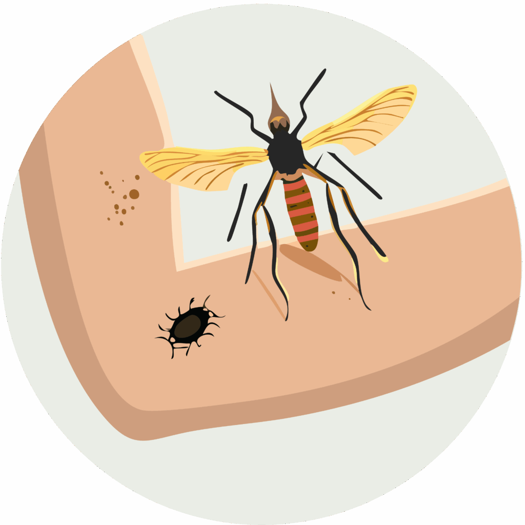 NHS Pharmacy First Service | The Family Chemist | NHS Partners