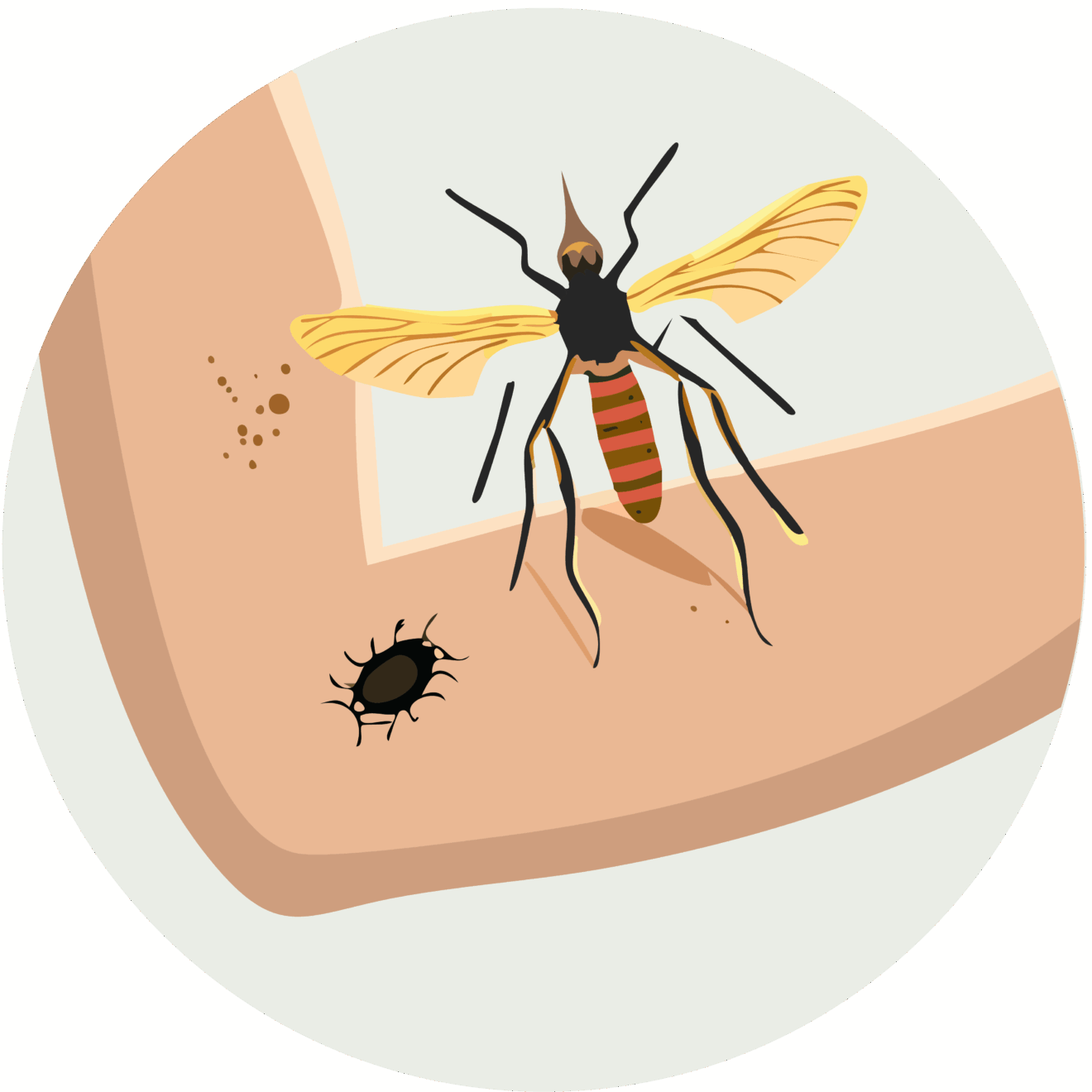 NHS Pharmacy First Service | The Family Chemist | NHS Partners