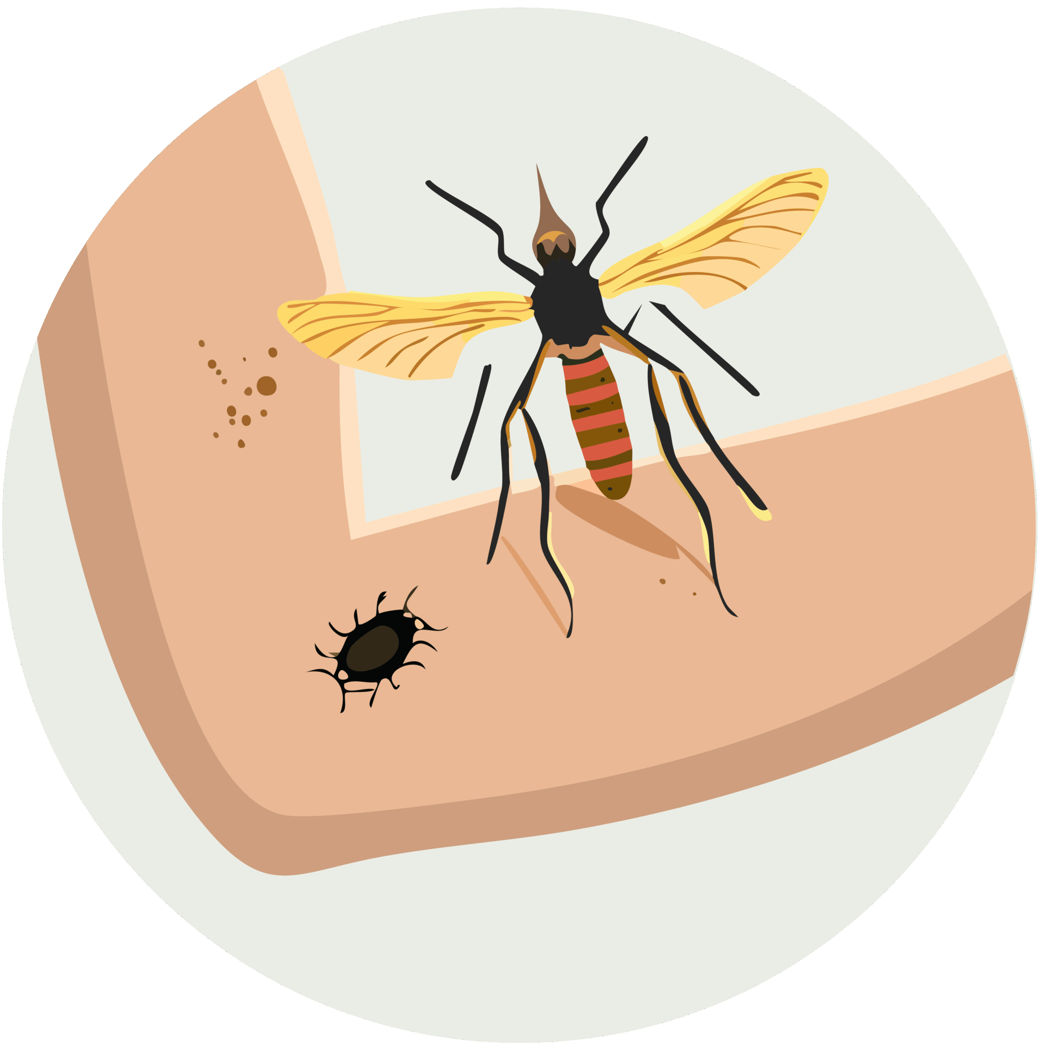 NHS Pharmacy First Service | The Family Chemist | NHS Partners