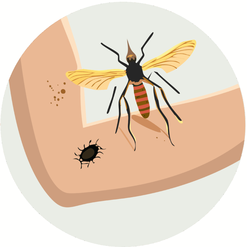 NHS Pharmacy First Service | The Family Chemist | NHS Partners