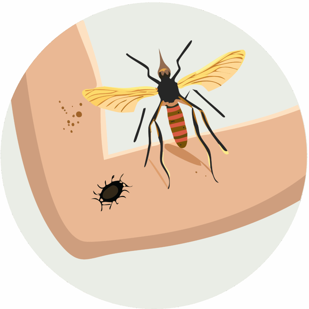 NHS Pharmacy First Service | The Family Chemist | NHS Partners